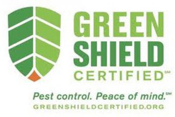 Termite Control in Indianapolis | Smithereen