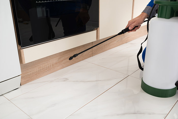 Residential Pest Control FAQs | Smithereen