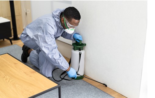 Pest Control in Fishers | Smithereen Pest Control in Fishers and Its ...