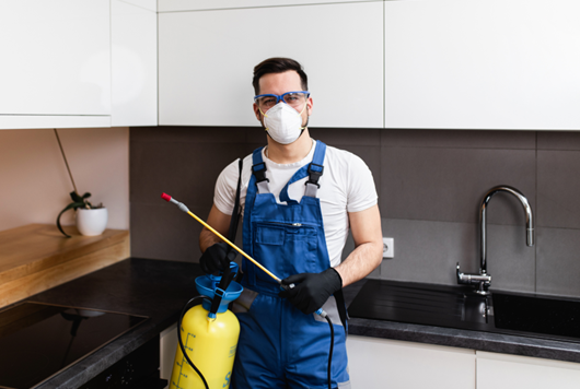 Apartment Pest Control in Kansas City | Smithereen Apartment Pest ...