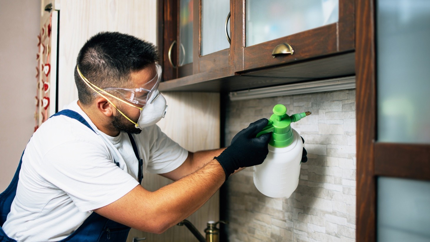 Commercial Pest Control in Leawood | Smithereen What Types of ...